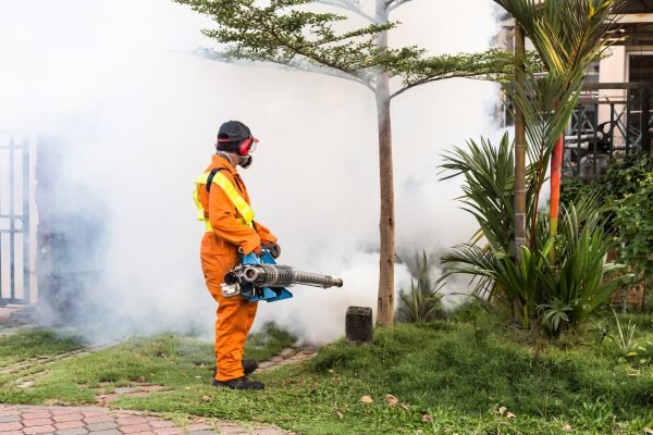 Fumigation & Pest Control – Cleaning & Fumigation Agency